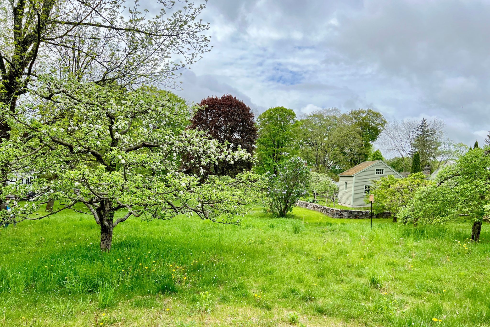 Forest Magic: Bunny Williams' Greek Temple Folly Pool House and ...